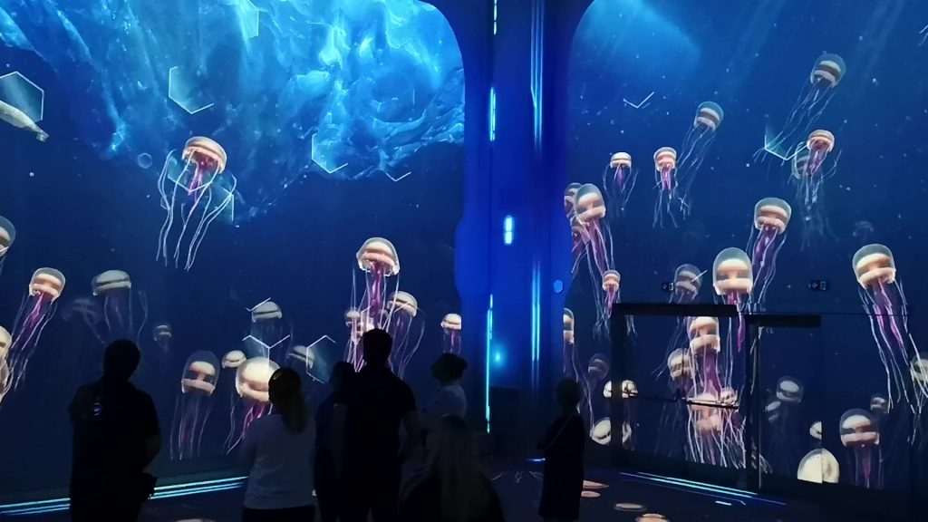 L’offre Videoprojection / mapping – Videlio